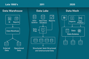 Data Mesh - Distributed Data Architecture: Building Impact